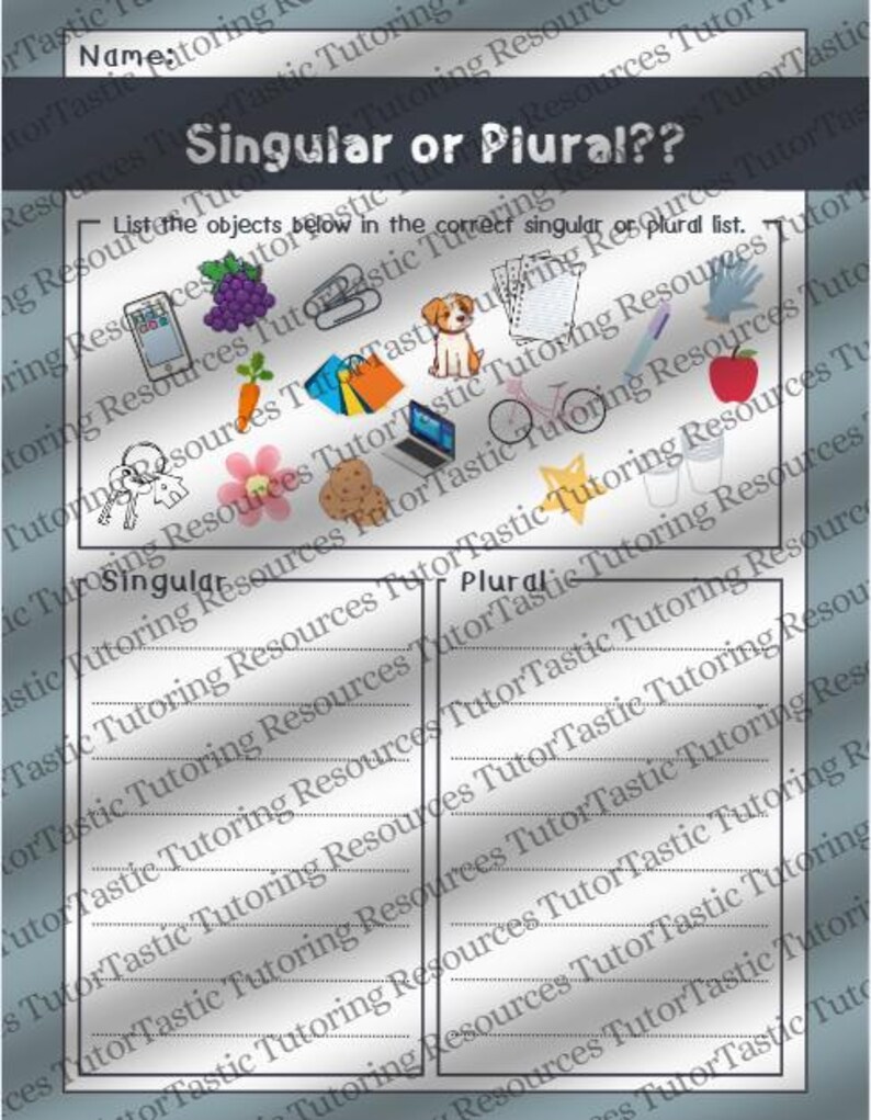Singular or Plural Worksheet - Etsy