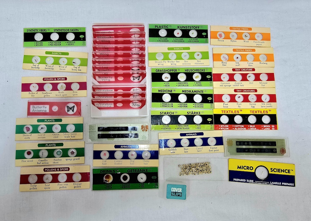 Large Lot Microscopic Slides for at Home Science Study - Etsy
