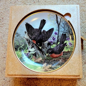 ROBIN Hunting for Food A J Rudisill Plate the National Audubon Society ...