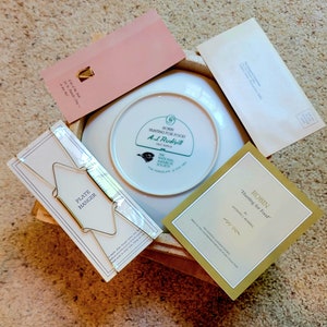 ROBIN Hunting for Food A J Rudisill Plate the National Audubon Society ...