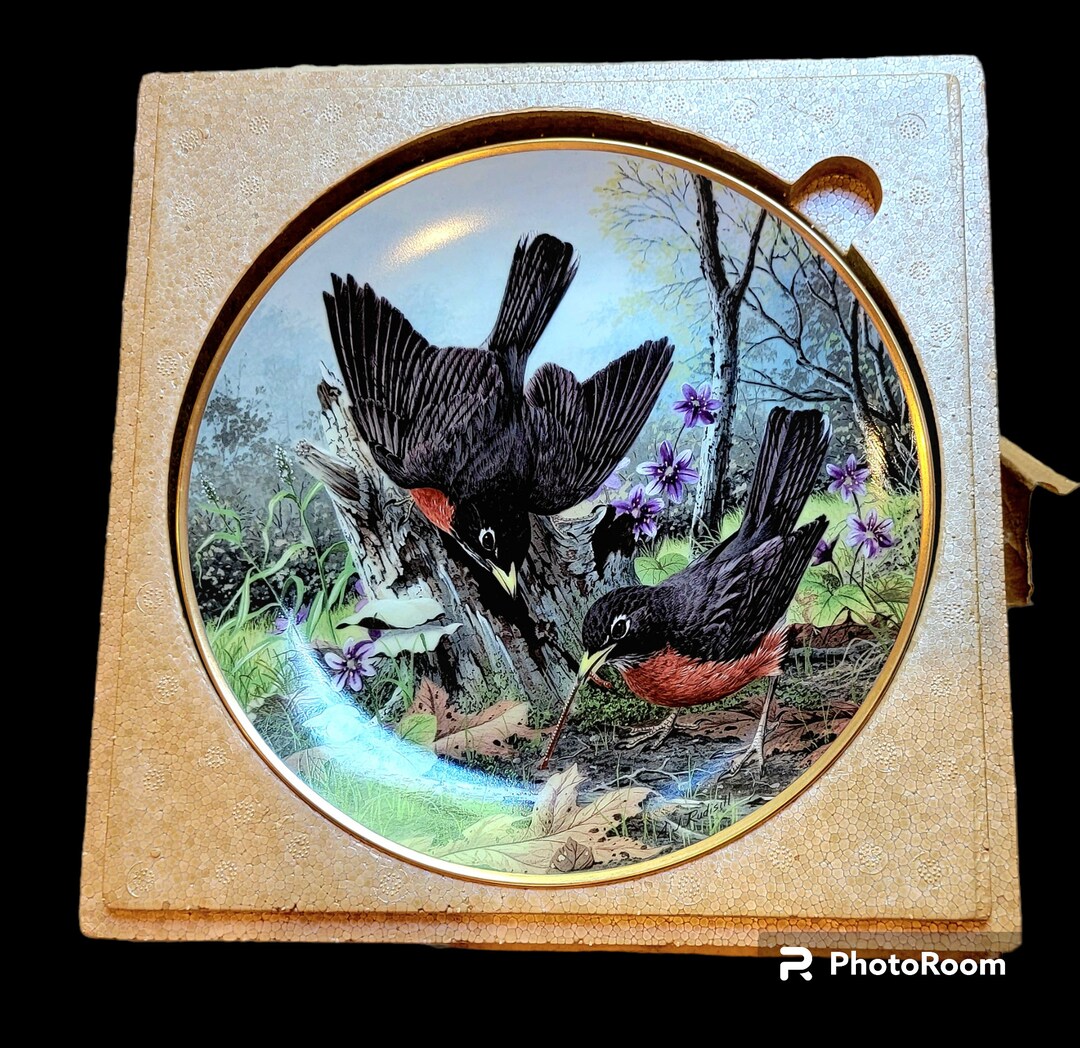 ROBIN Hunting for Food A J Rudisill Plate the National Audubon Society ...