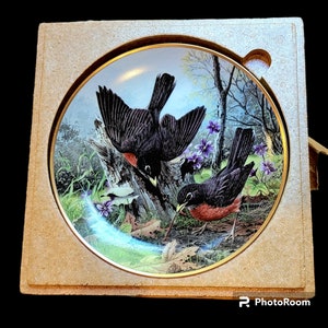 ROBIN Hunting for Food A J Rudisill Plate the National Audubon Society ...