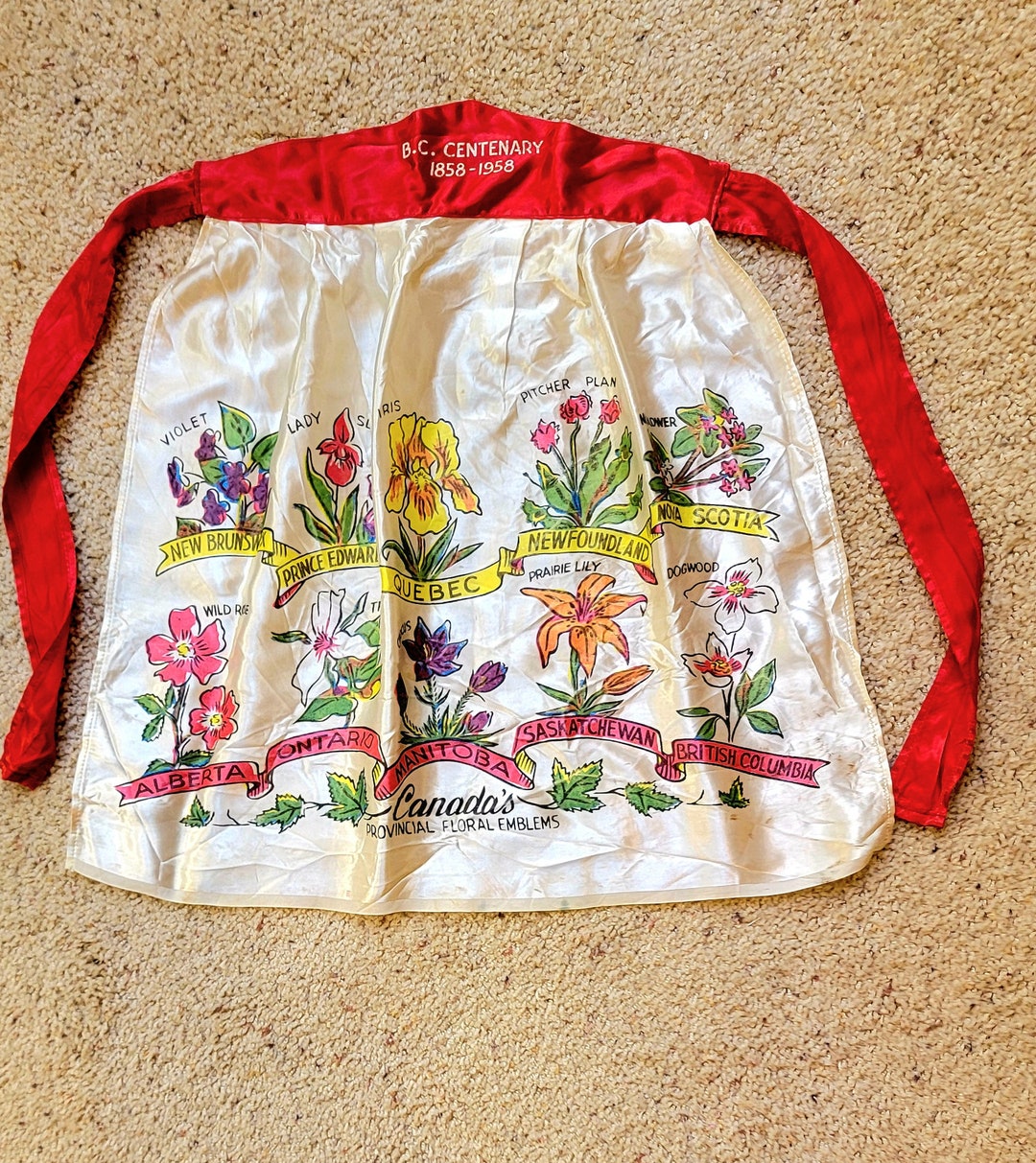 Satin Souvenir Apron British Columbia Centenary 1858- 1958, Provincial ...