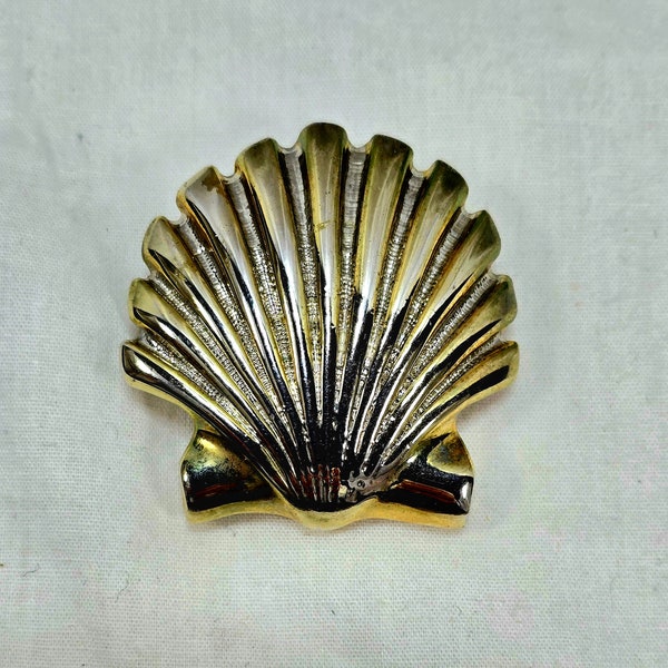 Shell Brooch - Etsy