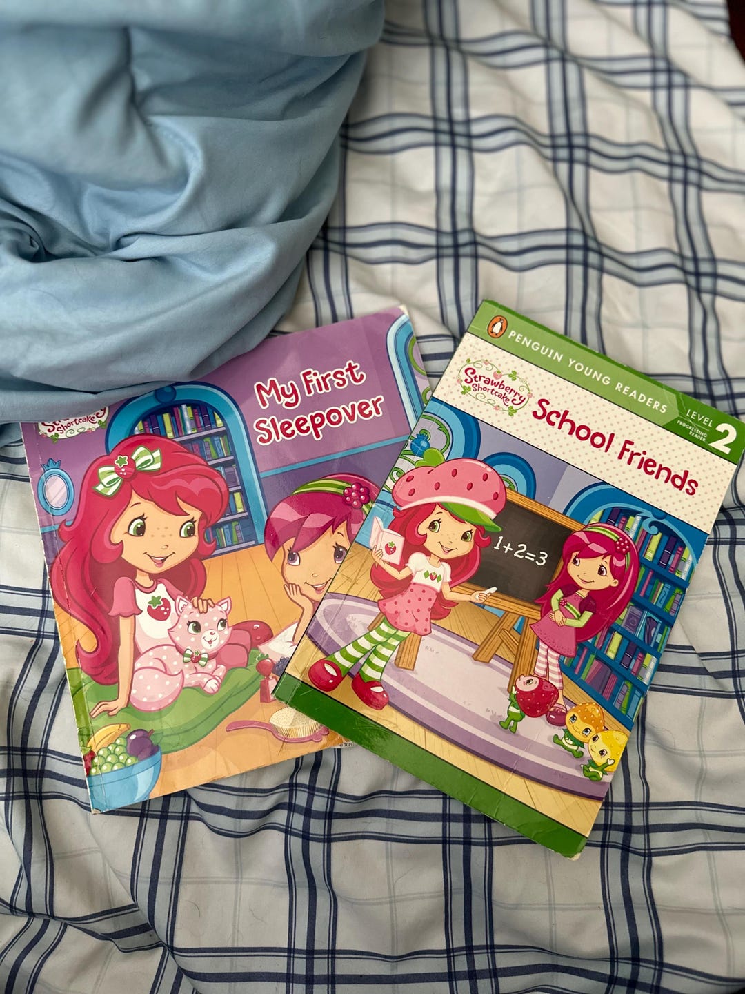 Strawberry Shortcake Book Bundle - Etsy