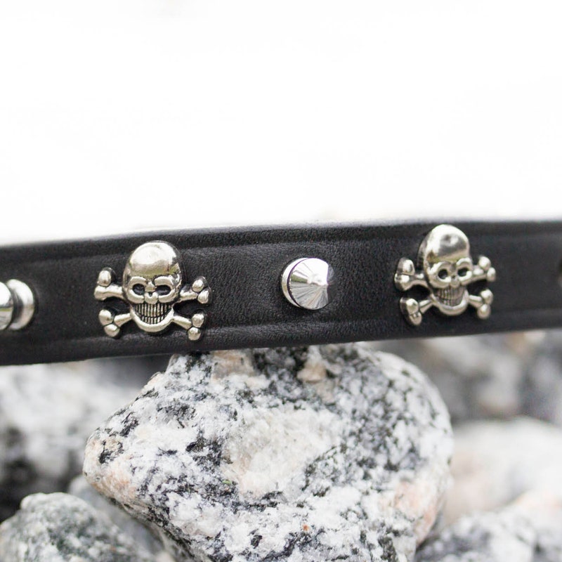 Skull Dog Collar - Etsy