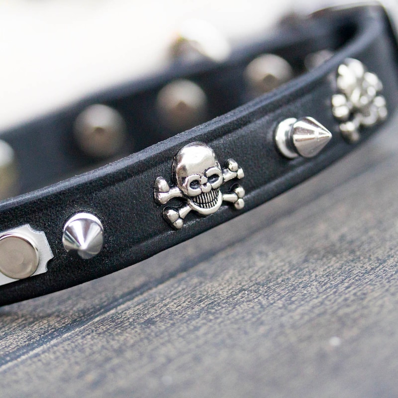 Skull Dog Collar - Etsy