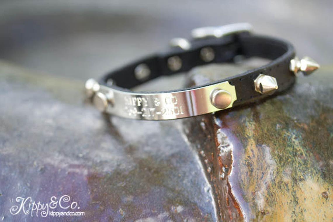 Spiked Cat Collar Thin Collar Leather Collar With Engraved - Etsy