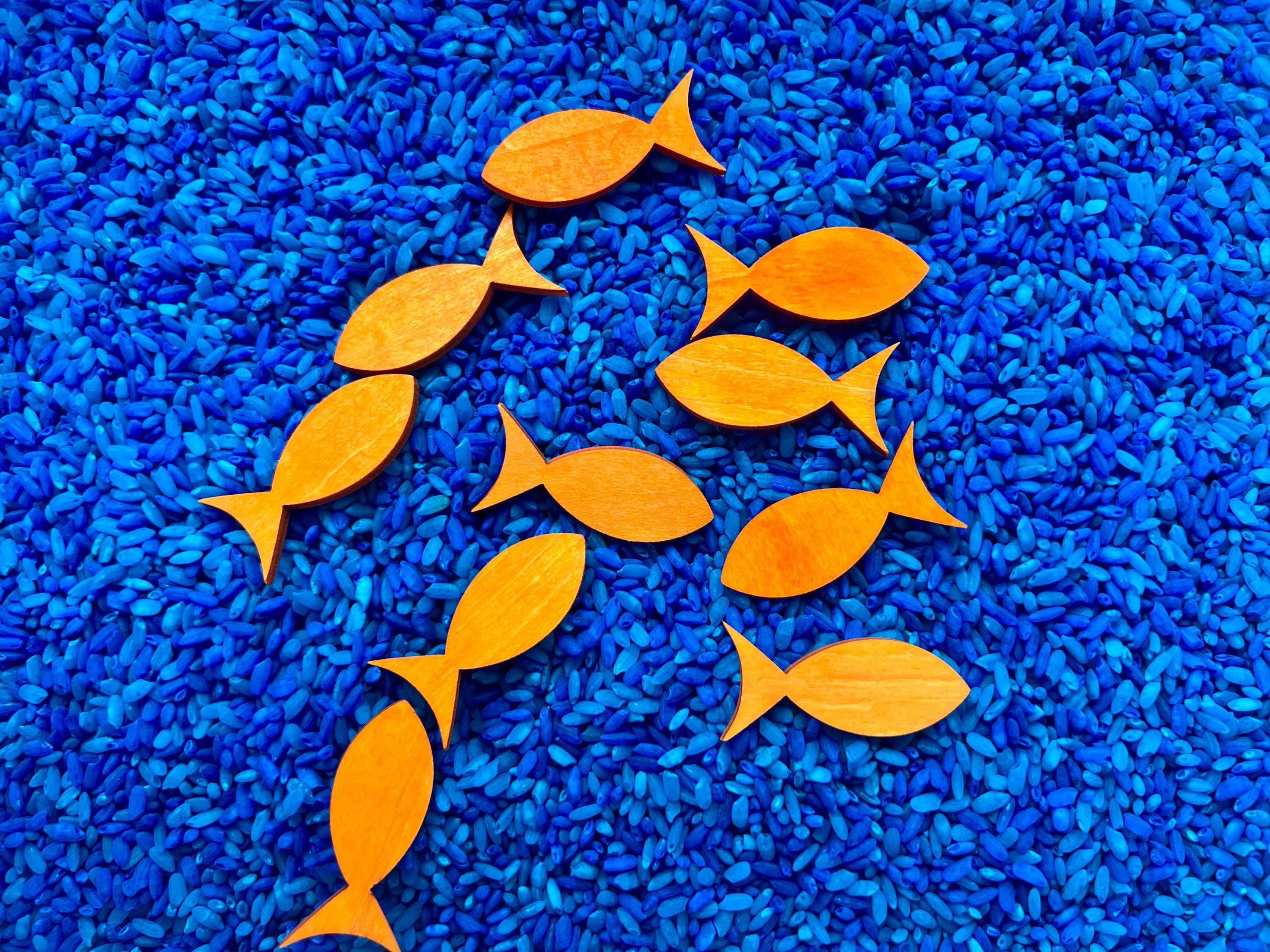 Fish Pond Rice Sensory Bin Filler With Toy Fish & Bucket – Sensory Play ...