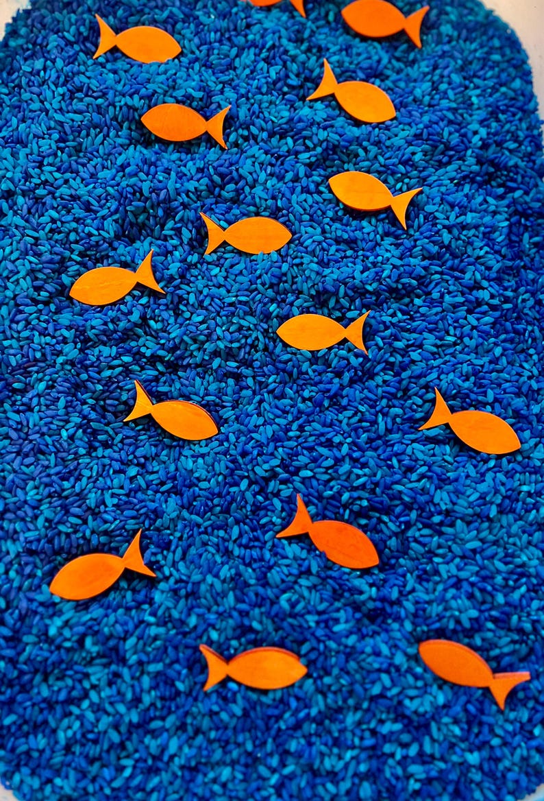 Fish Pond Rice Sensory Bin Filler With Toy Fish & Bucket – Sensory Play ...