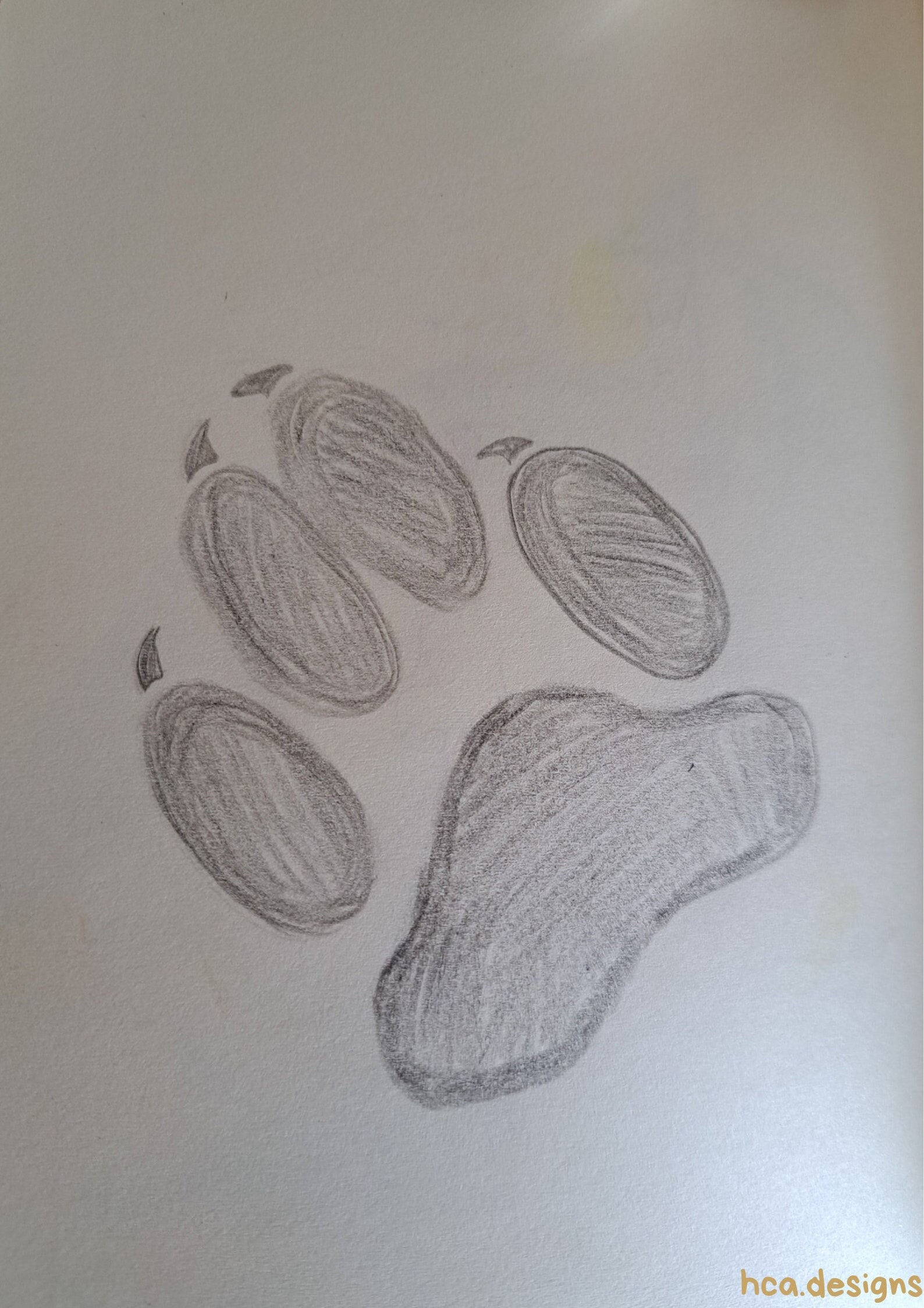 Hand Drawn Paw Print Sketch Digital Download - Etsy