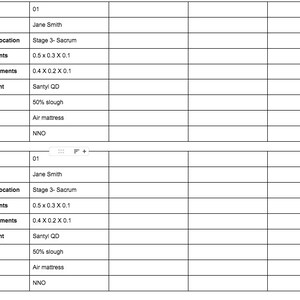 Wound Rounds Flowsheet - Etsy