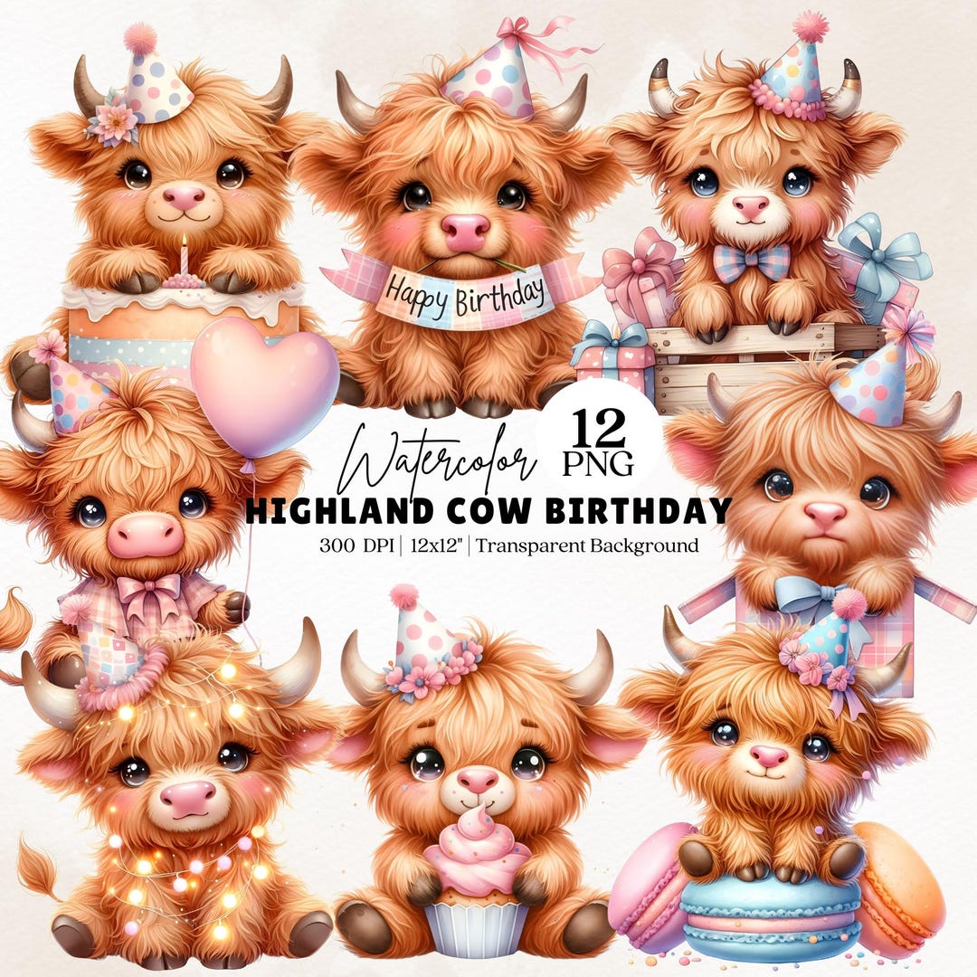 Highland Cow Birthday Clipart, 12 PNG Baby Cow, Birthday Animals ...