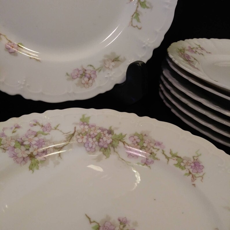 8 Antique MZ Austria Bnb Plates Scalloped Purple Flowers - Etsy