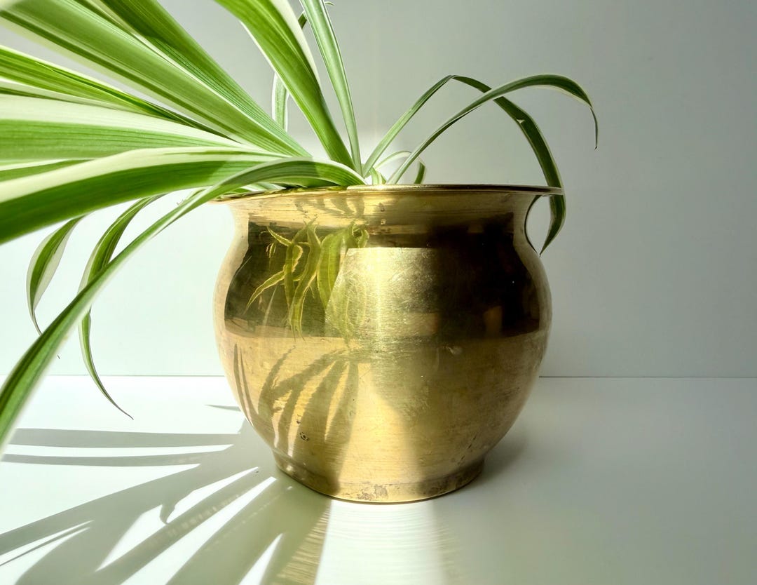 Vintage Brass Plant Pot — 11cm Tall Indoor Patinated Planter With ...