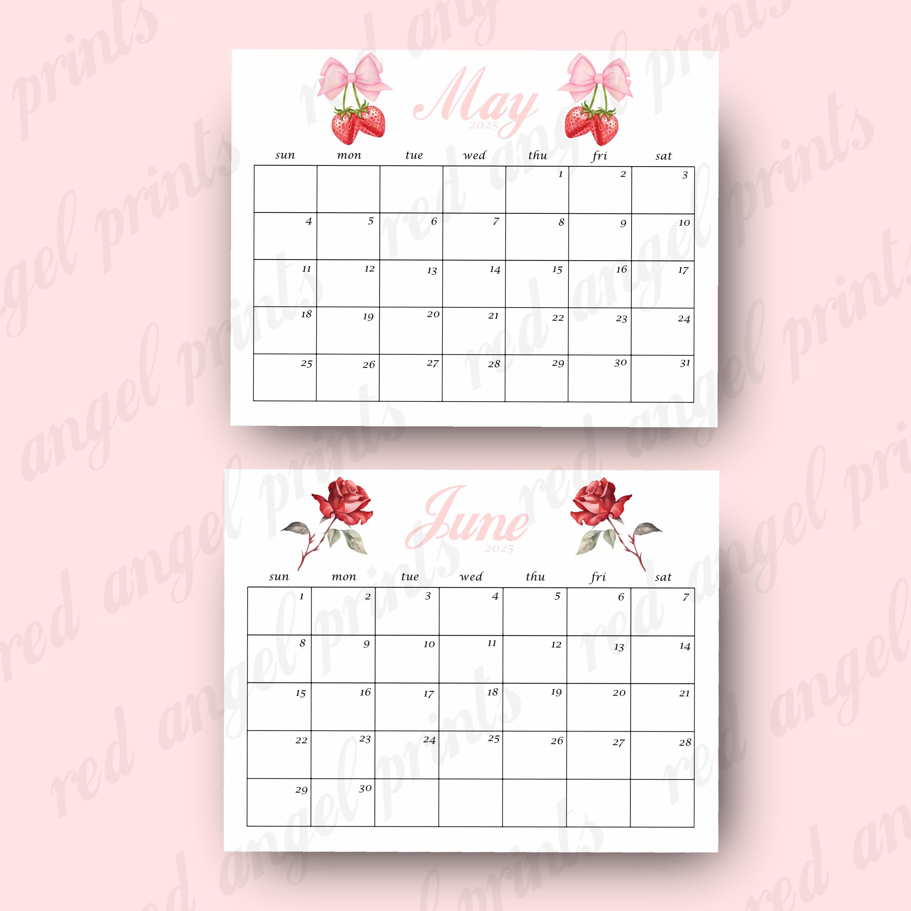 Coquette Calendar 2025, 2025 Full Year Calendar, Girly Pink Calendar ...