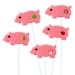 Gluckschwein! Good Luck Marzipan Christmas Pig Lollipops! Pass on Good ...