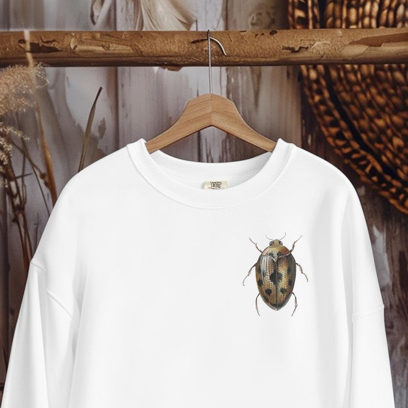 Entomology - Etsy