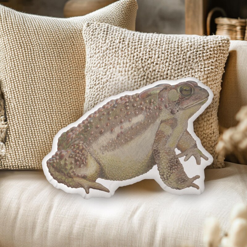 Frog Pillows - Etsy