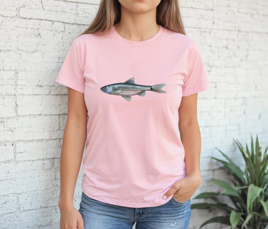 Spottail Shiner Spottail Minnow Bait Fish Gift for Fisherman ...