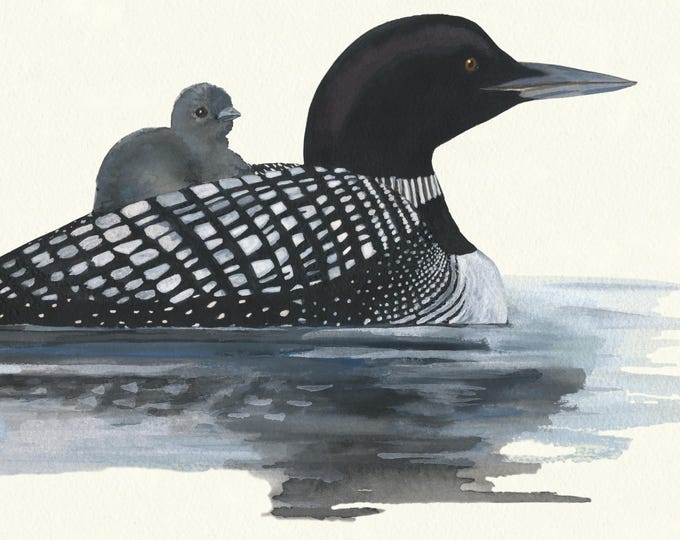 Watercolor Loon Art Print, Loon Wall Art, Minnesota Poster, Lake House ...