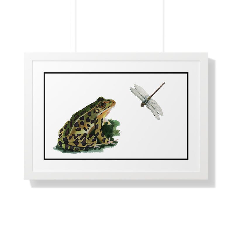 Leopard Frog and Dragonfly Watercolor: Framed Print - Etsy