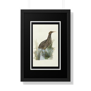American Bittern Framed Print, Bird Watercolor, Vertical Poster, Sea ...