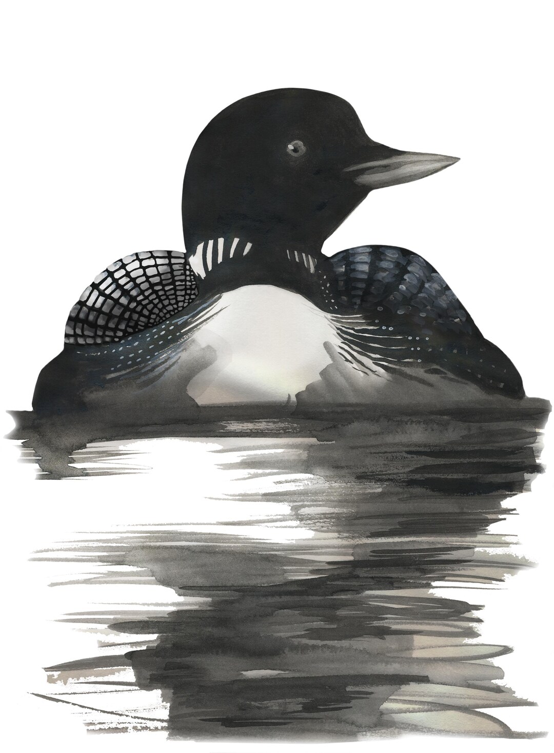 Loon Watercolor: Framed Print - Etsy
