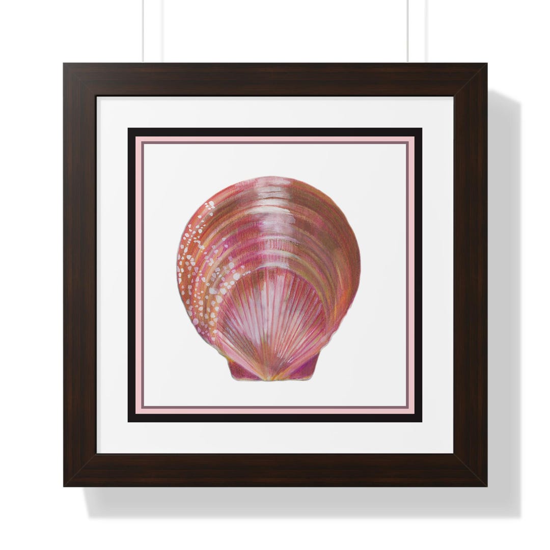 Moon Scallop Seashell Framed Print Pink Seashell Pink Decor Gift for ...