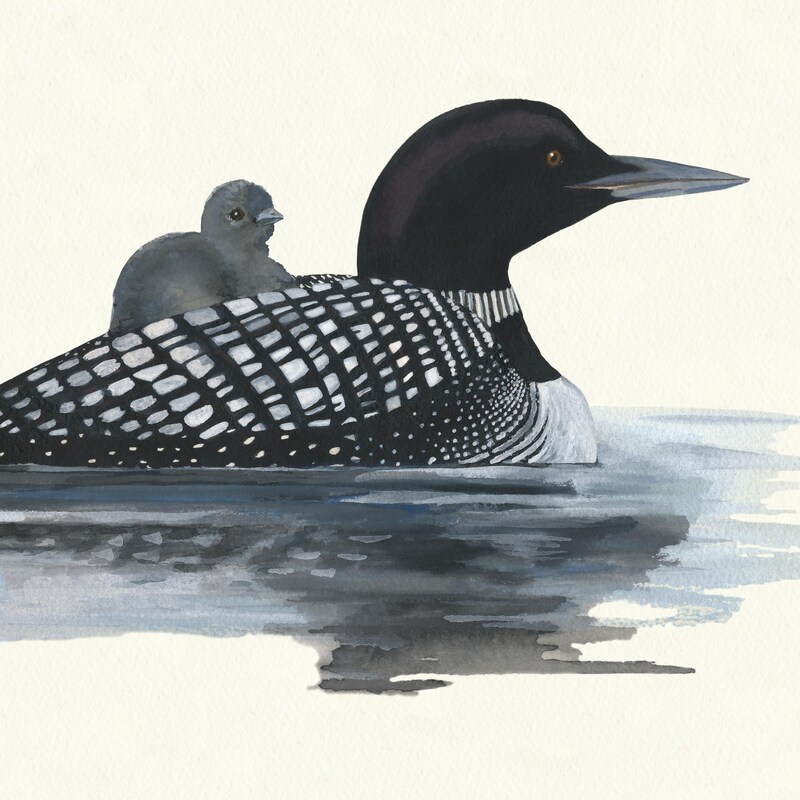 Loon Painting - Etsy