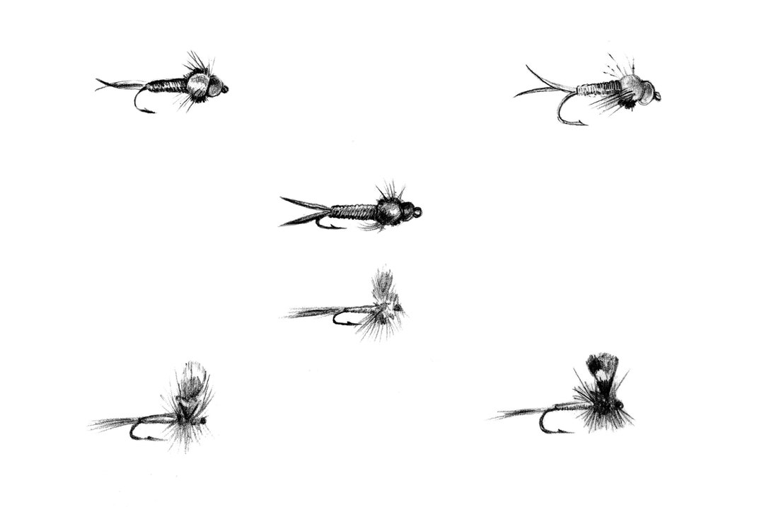 Fly Fisherman Flies Framed Print, Flies Wall Art, Gift for Fly ...