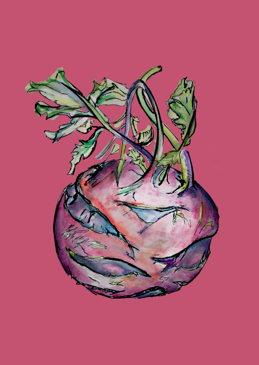 Turnip Framed Print, Kitchen Decor, Cottagecore, Foodie or Vegan Gift ...