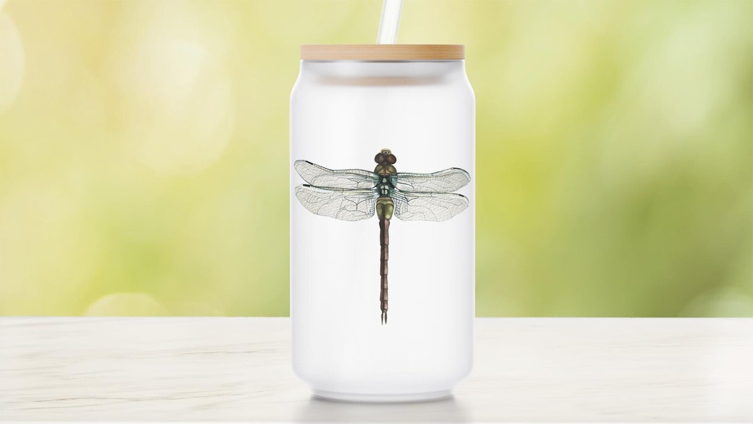 Green Darner Dragonfly, Iced Coffee Glass | Gifts for Insect Lover ...