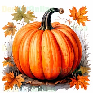 Watercolor Pumpkin Clipart Bundle: Fall Halloween Graphics (digital ...