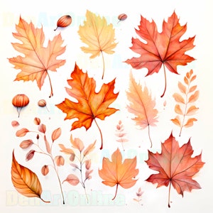 12 Fall Leaf Clipart Bundle, Autumn Leaf Watercolor Clipart, Jpgs ...