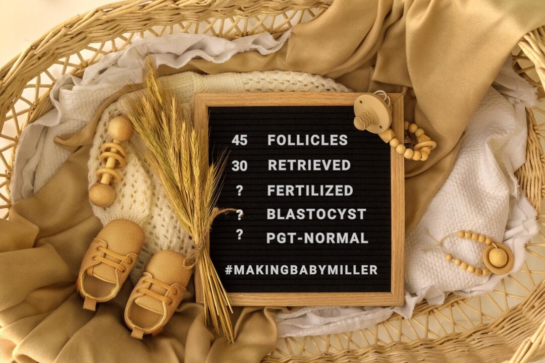 Digital IVF Egg Retrieval Letter Board Template With Embryo Picture ...