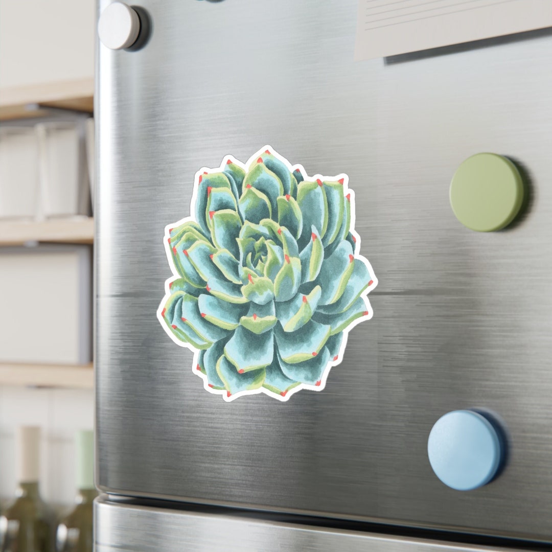 Succulent Sticker, Kiss-cut Vinyl Decals, Floral Sticker, Colorful ...