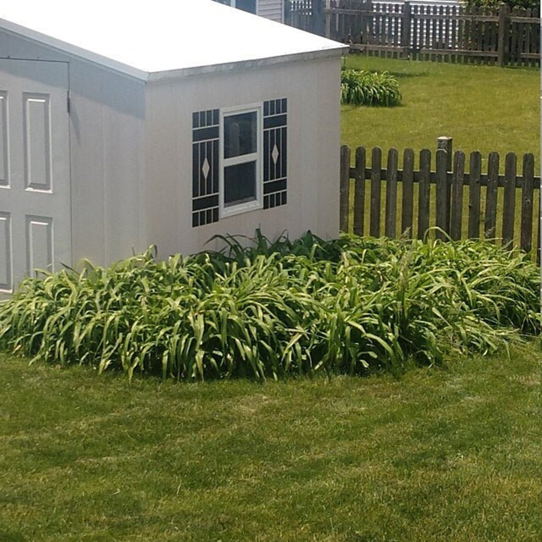 RV Decal Window Shutter Vinyl Decal Sticker for Camper Decor, RV Decor ...