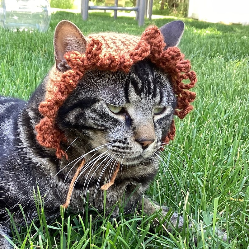 Cat Lion Mane Costume - Etsy