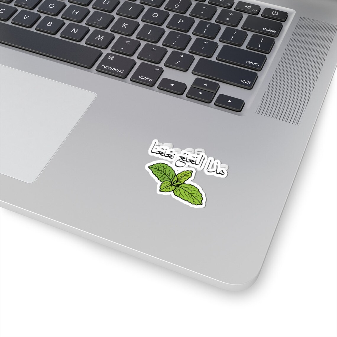 This Mint na3na3 Arabic Sticker - Etsy