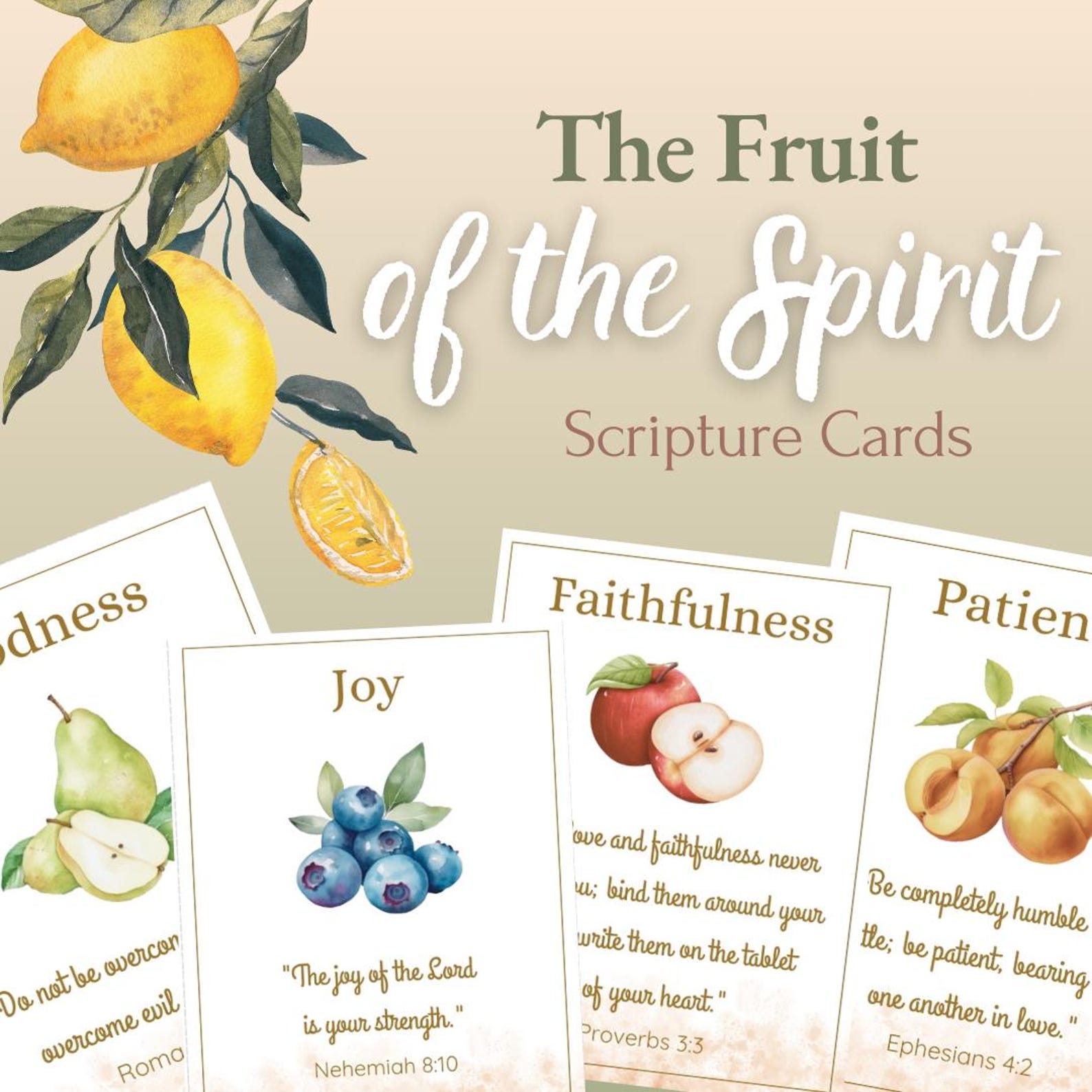 The Fruit of the Spirit Scripture Cards Bible Verse Pocket Cards for ...