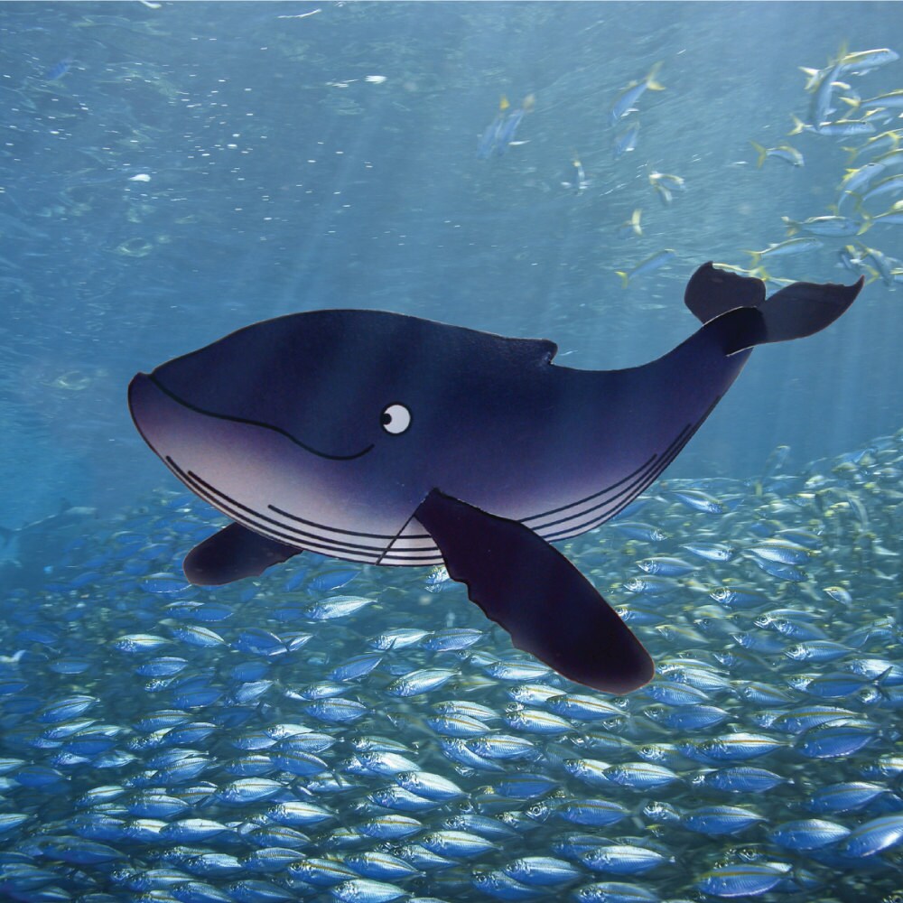 Whale Postcard, Set of 8 "mail a Whale" (humpback Whale) Postcards - Etsy