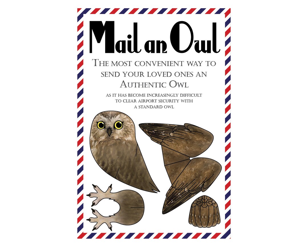Owl Postcards, Set of 8 "mail an Owl" Postcards - Etsy