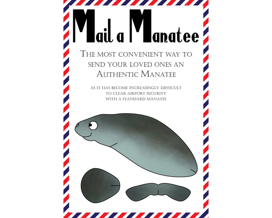 Manatee Postcards Set of 8 mail a Manatee - Etsy