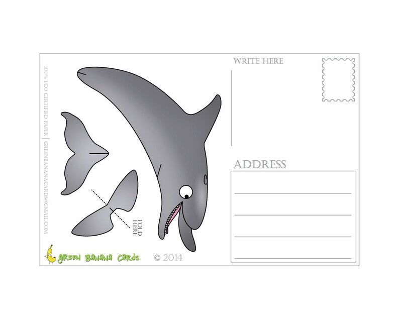 Dolphin Postcards Set of 8 mail a Dolphin - Etsy