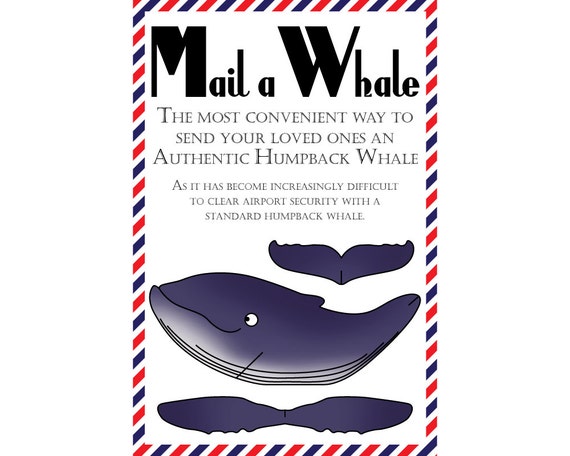 Whale Postcard Set of 8 mail a Whale humpback - Etsy