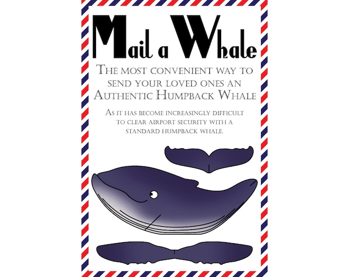 Whale Postcard, Set of 8 "mail a Whale" (humpback Whale) Postcards - Etsy