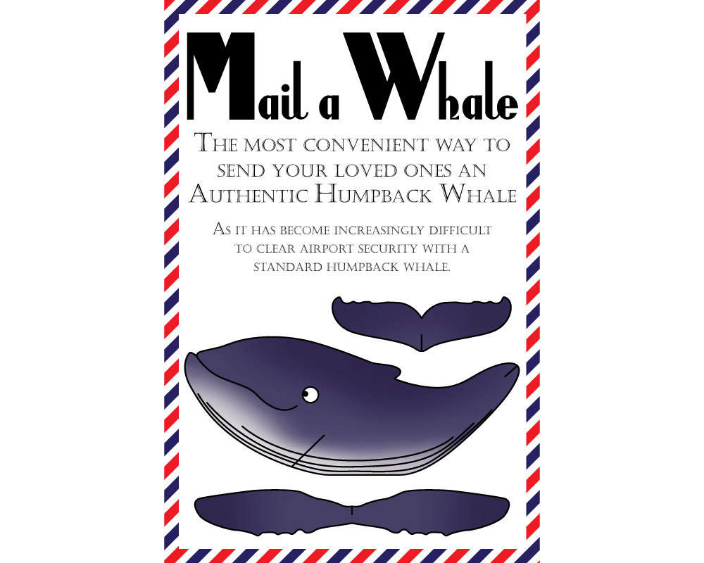 Whale Postcard Set of 8 Mail a Whale Humpback | Etsy