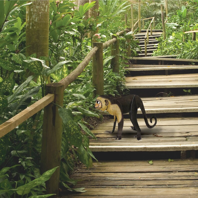 Monkey Postcard, Set of 8 "mail a Monkey" Postcards - Etsy