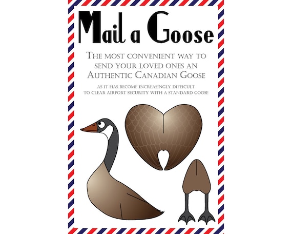 Goose Postcards Set of 8 mail a Goose Postcards | Etsy